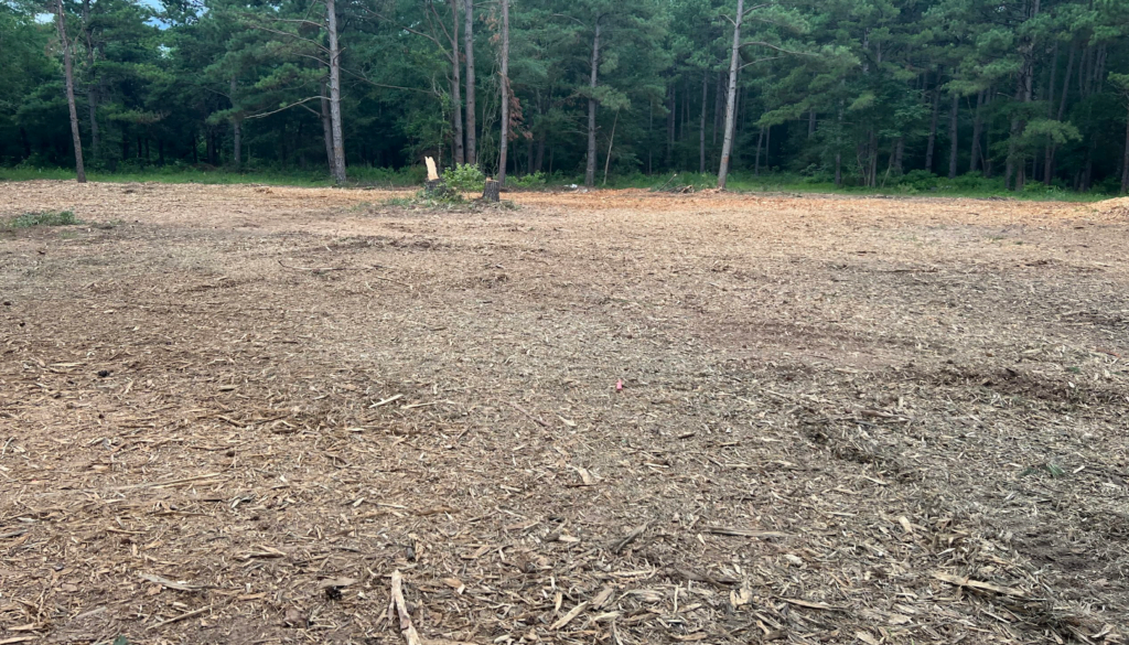 Underbrush Mulching Services in Buffalo: A Clear Path to Land ...